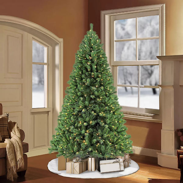 Puleo International 6.5' Northern Fir Pre-Lit Tree with 400 ct. Lights ...